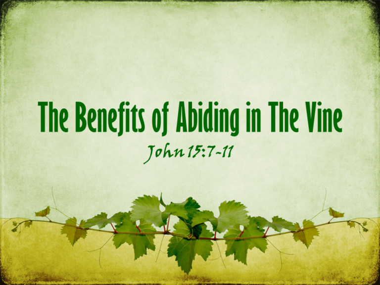 The Benefits of Abiding in The Vine – February 18, 2018 | DaySpring ...
